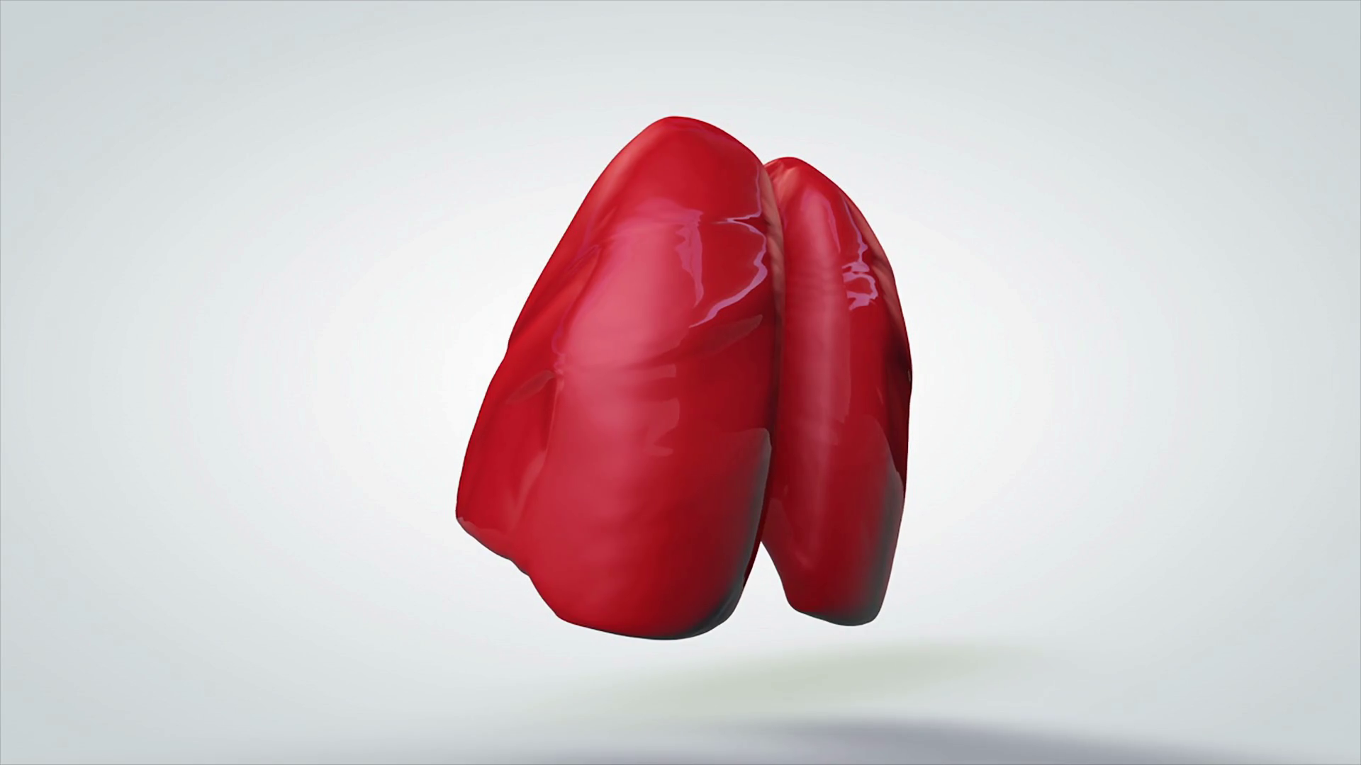 3d Animated Model Rotating Human Lungs Stock Motion Graphics SBV ...