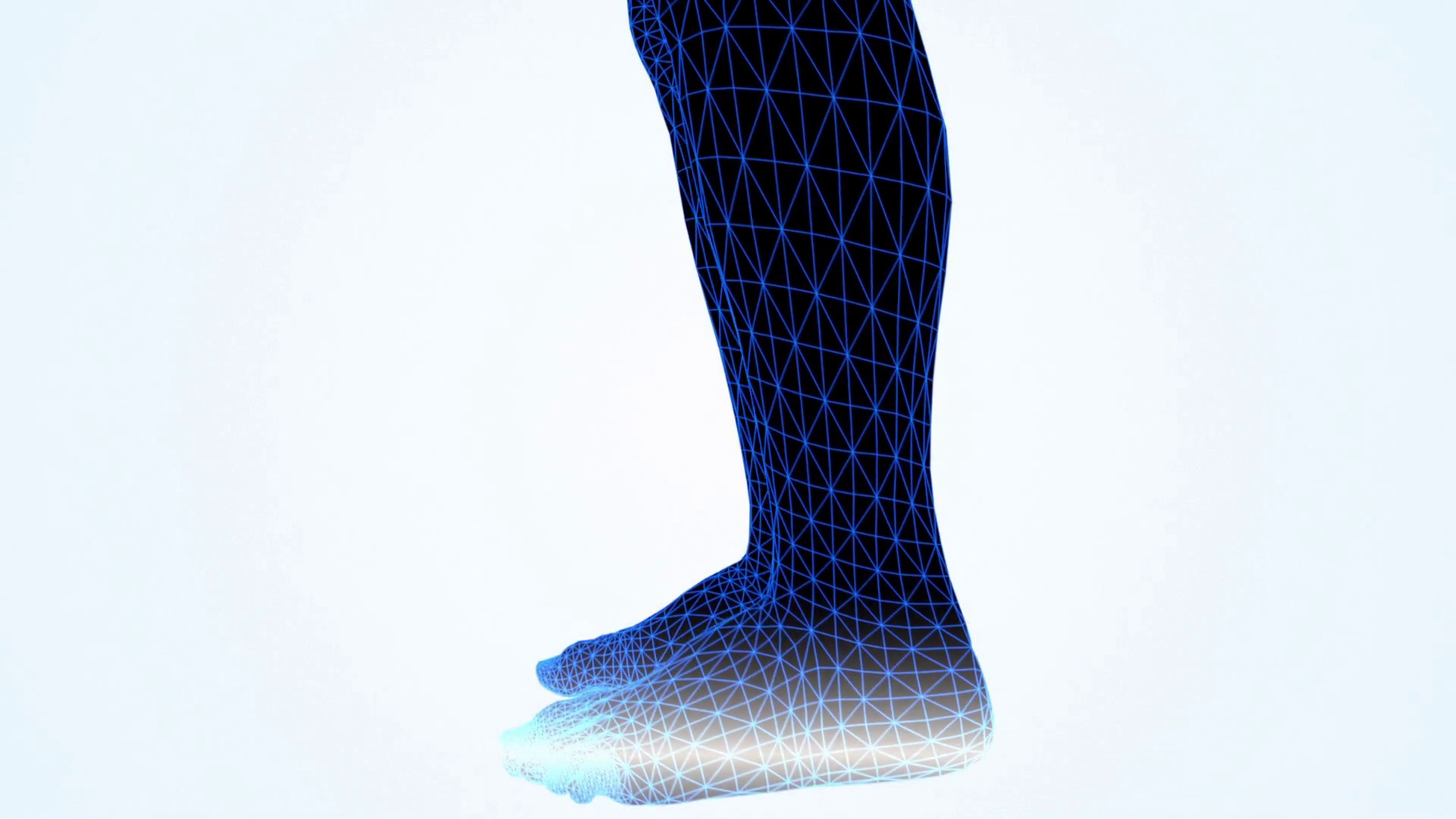 3d Model Human Anatomy Scanning From Bottom Stock Motion Graphics SBV ...