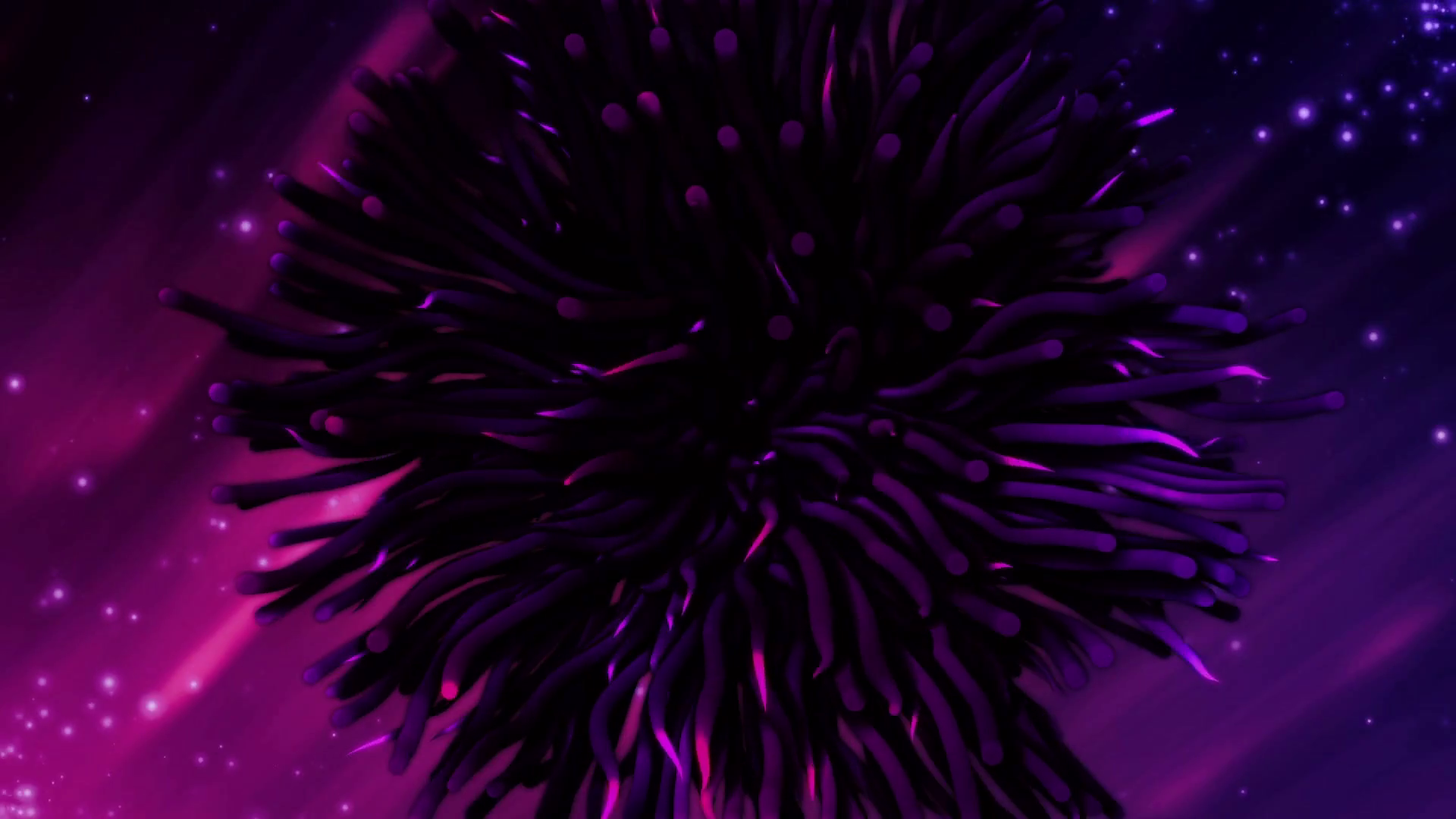 Abstract Purple Particles Stock Motion Graphics SBV-307295395 - Storyblocks