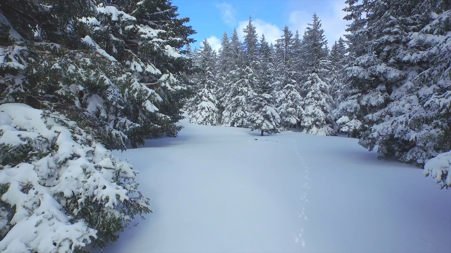Aerial: Following Footsteps In Snow Through Stock Footage SBV-301297711 ...