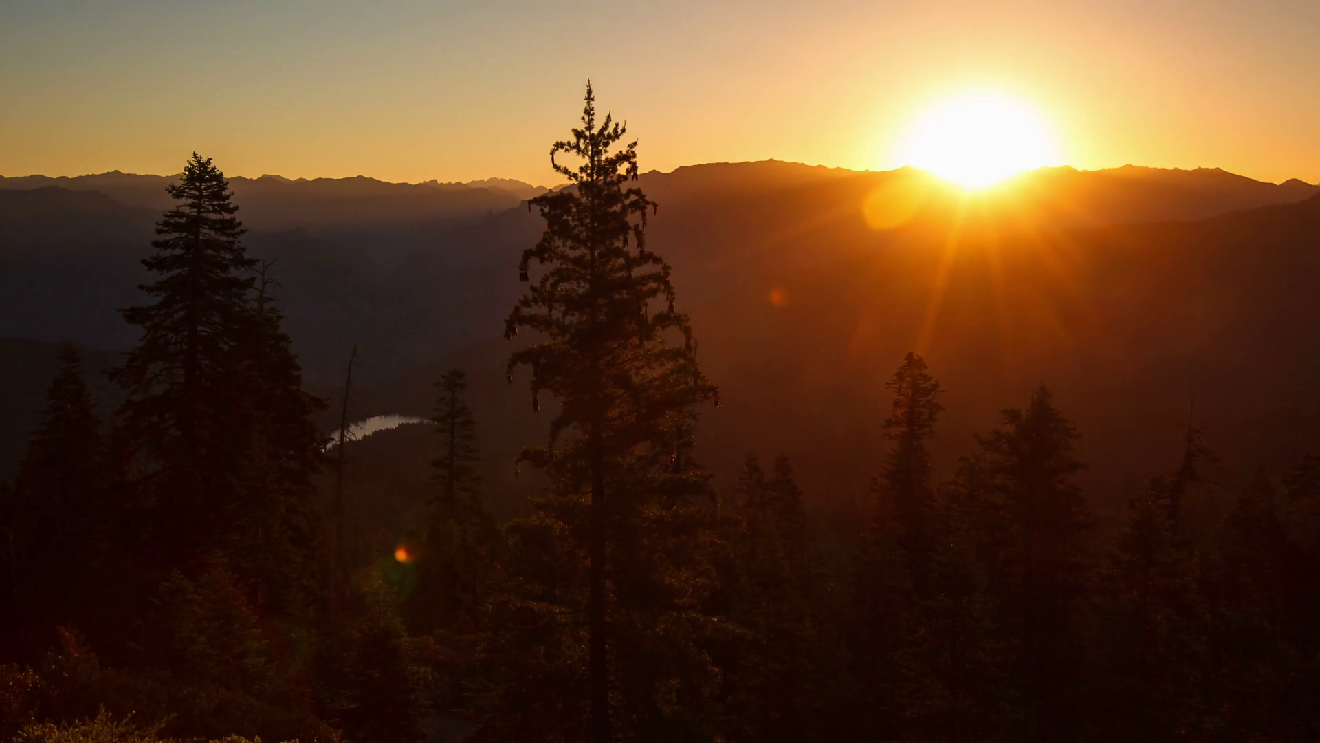 Beautiful Sunrise Over Scenic Forest Stock Footage SBV-308403374 ...