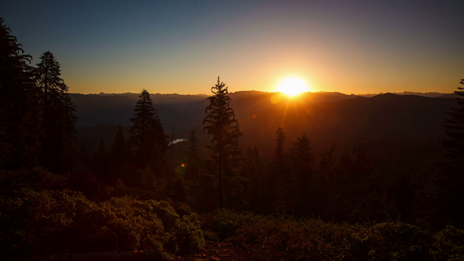 Gorgeous Sunrise In Serene Forest Stock Footage SBV-308403375 - Storyblocks