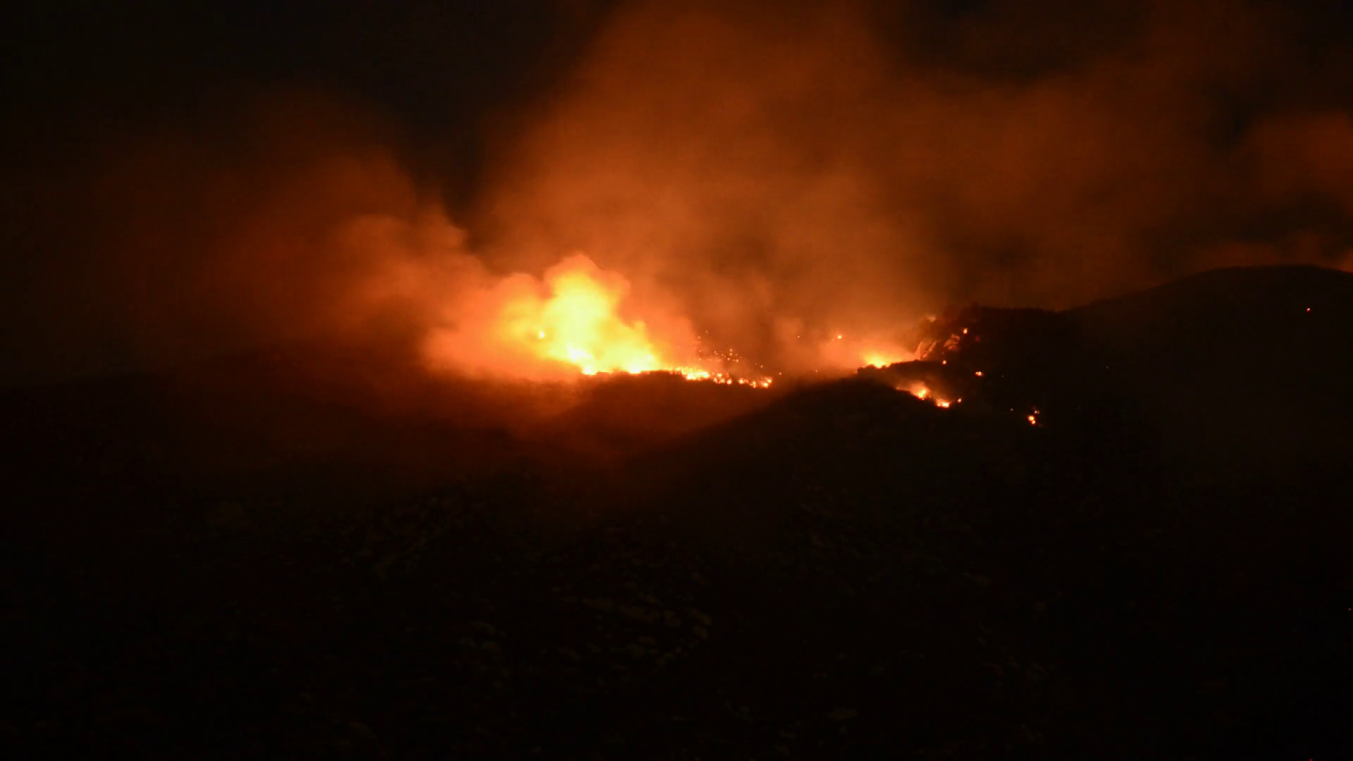 Blazing Forest Fire Stock Footage SBV-300171878 - Storyblocks