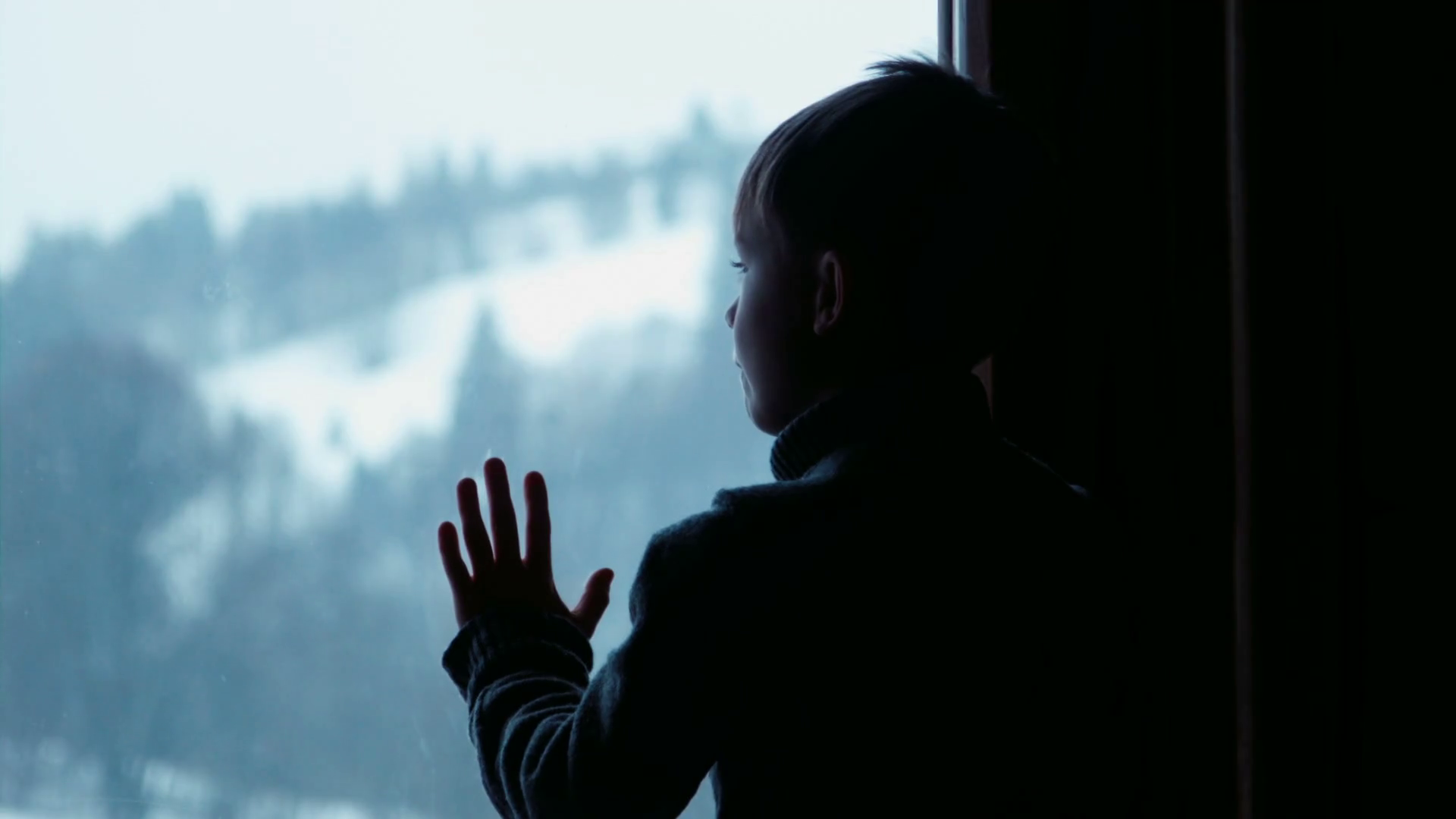 Boy Behind Window In Winter Stock Footage SBV-305072718 - Storyblocks
