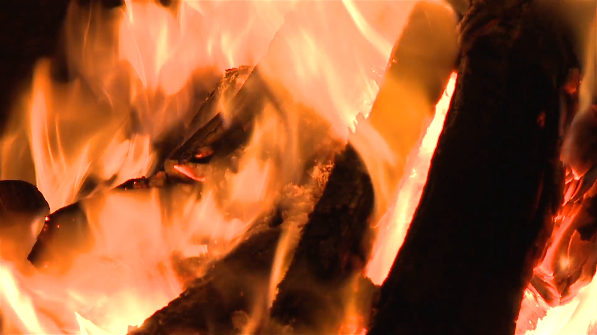 Burning Fire Embers Stock Footage SBV-300184009 - Storyblocks
