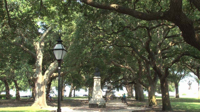 Charleston Scenery Stock Footage: Royalty-Free Video Clips - Storyblocks