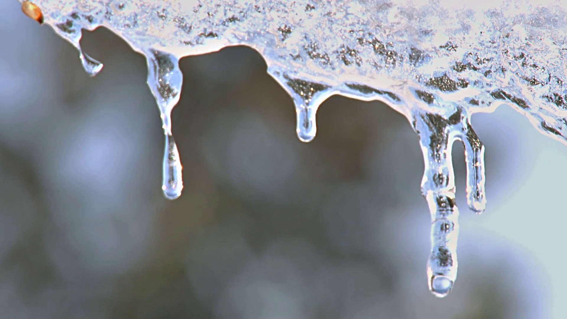 Close Up Melting Icicles Stock Footage SBV-300129538 - Storyblocks