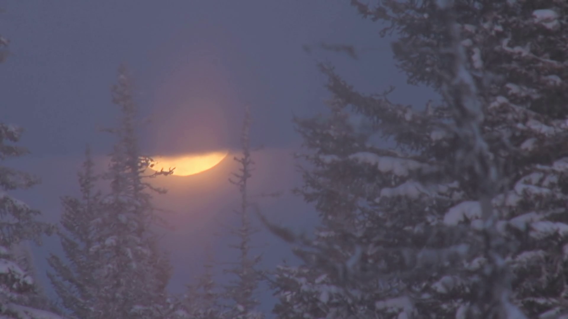 Creepy Moon Rising Stock Footage SBV-300134007 - Storyblocks
