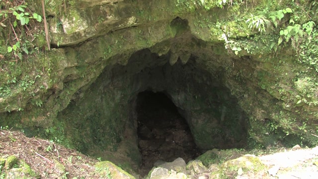 Bugs Cave Stock Footage: Royalty-Free Video Clips - Storyblocks