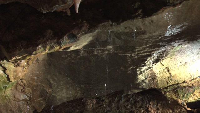 Dripping Cave Stock Footage: Royalty-Free Video Clips - Storyblocks