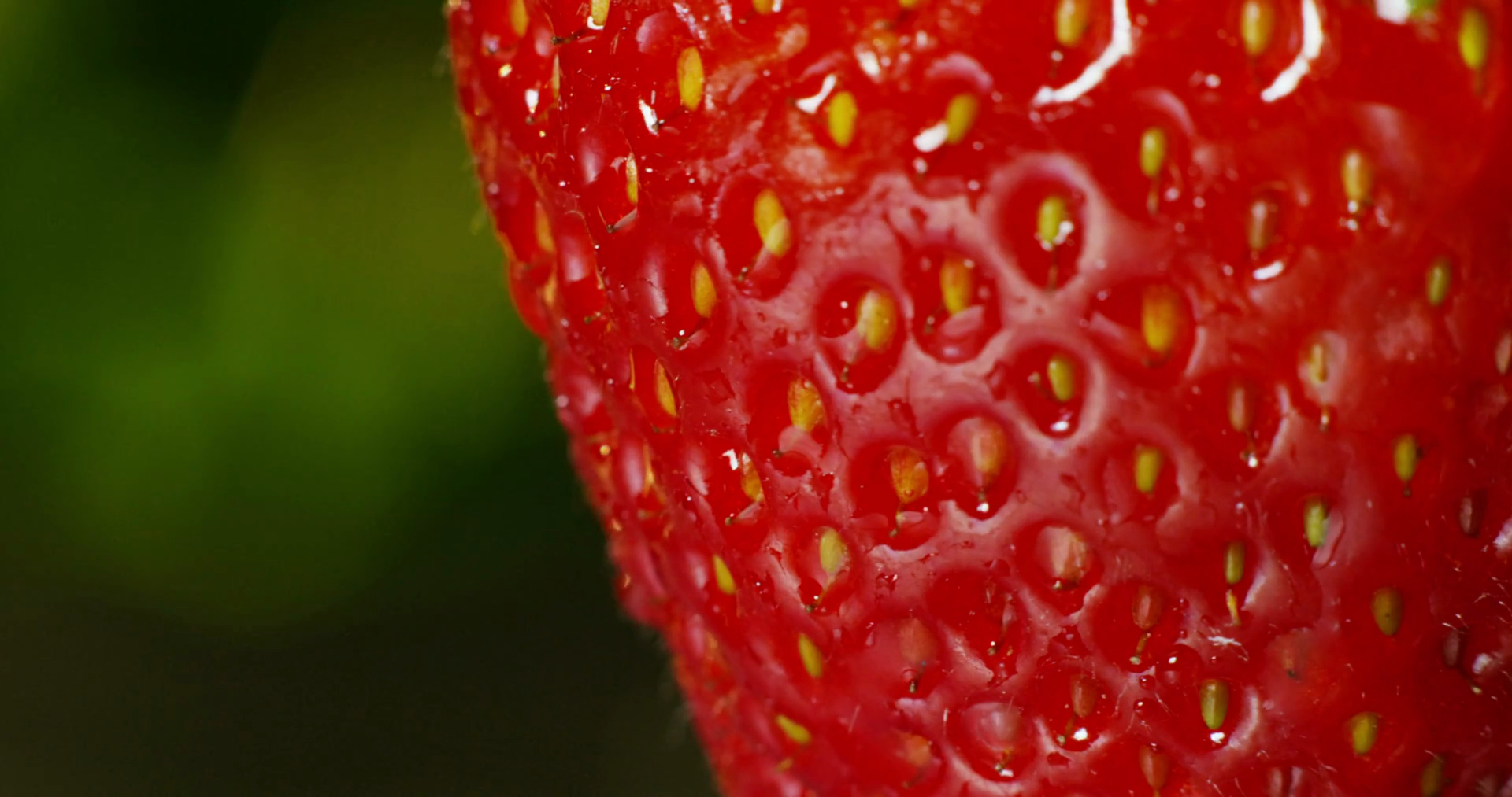 Extreme Macro Of Strawberry Dropping Fresh Stock Footage SBV-306338807 ...