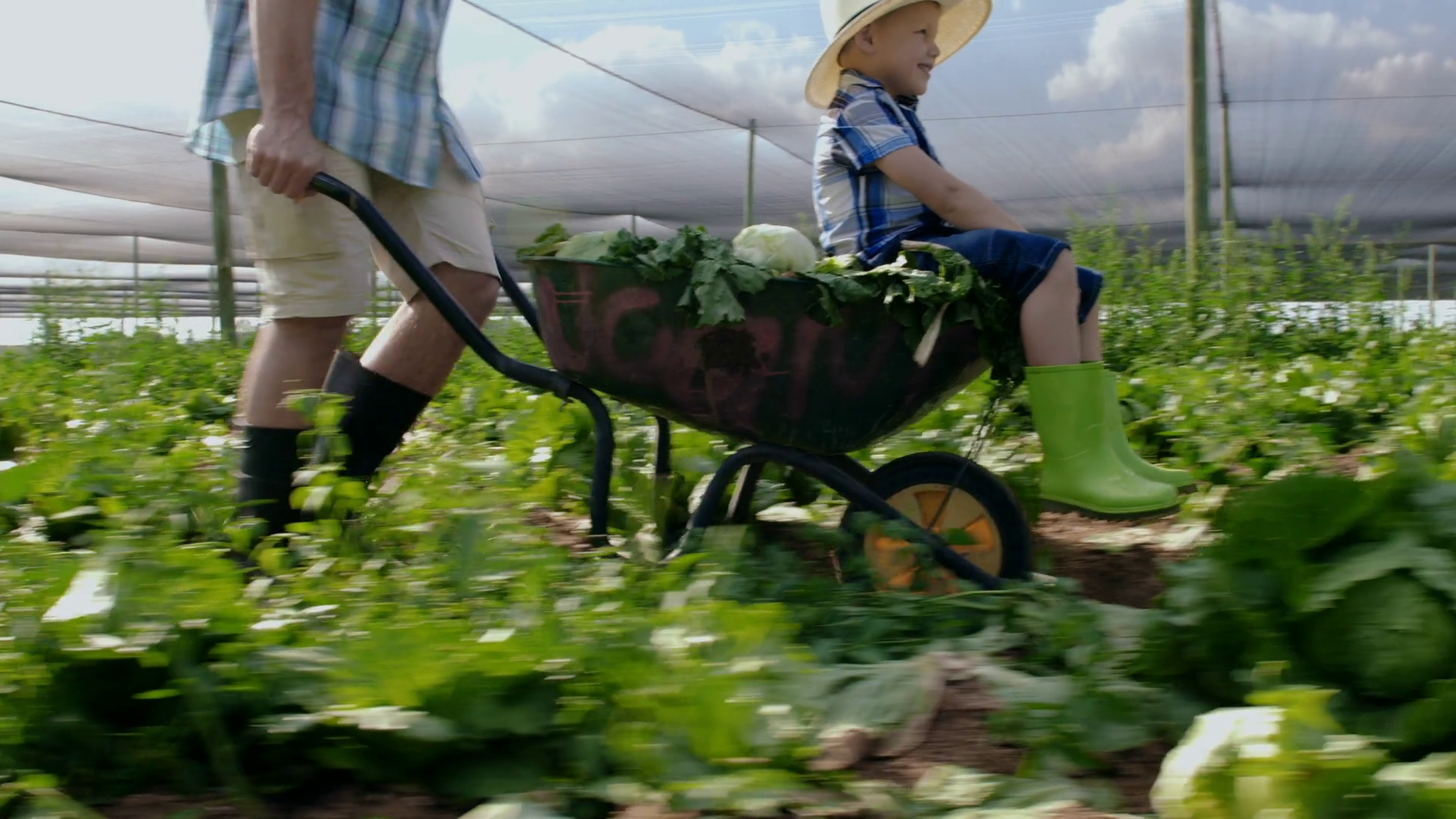 Farming Father Pushing Son In Wheelbarrow Stock Footage SBV-300607136 ...
