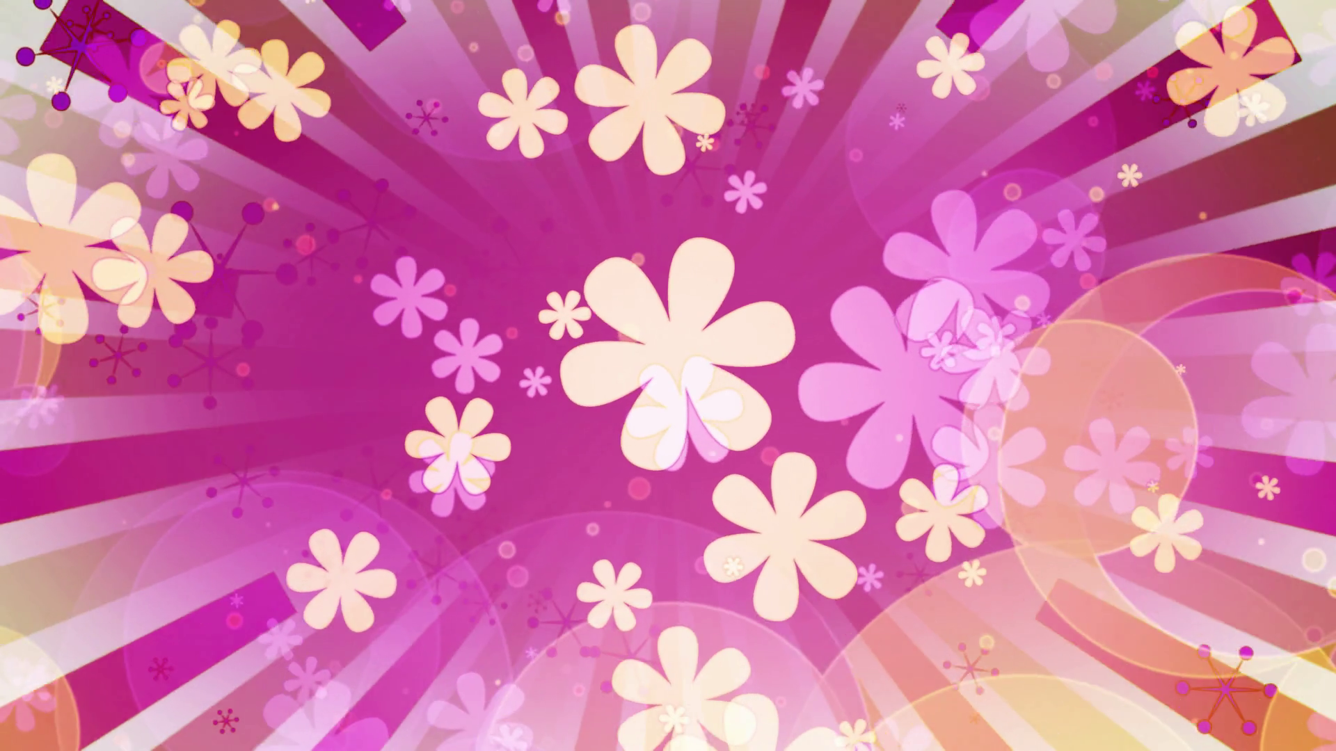 Flower Blast Stock Motion Graphics SBV-300077065 - Storyblocks