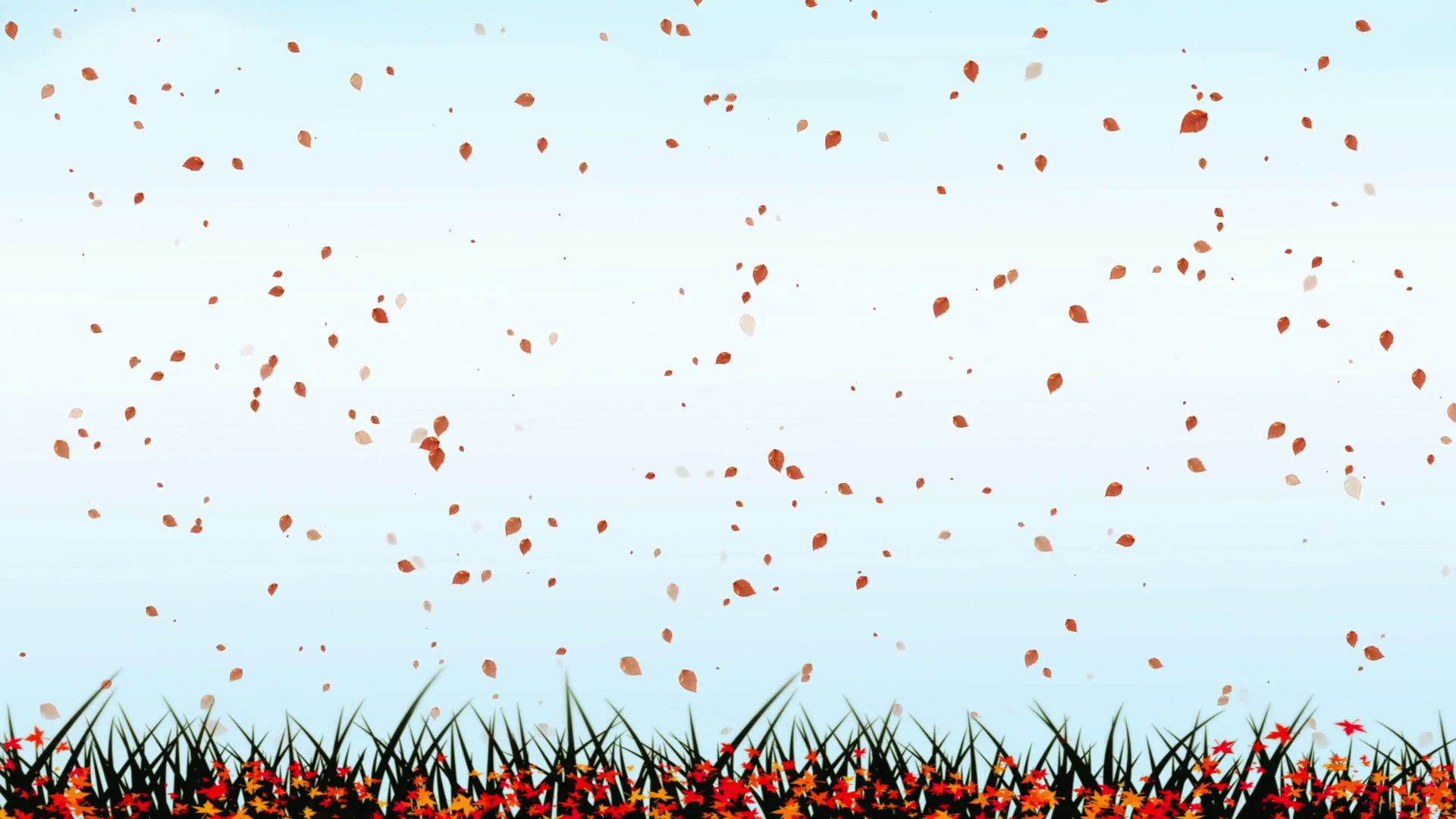 Flying Fall Leaves: Autumn Motion Background Stock Motion Graphics SBV ...