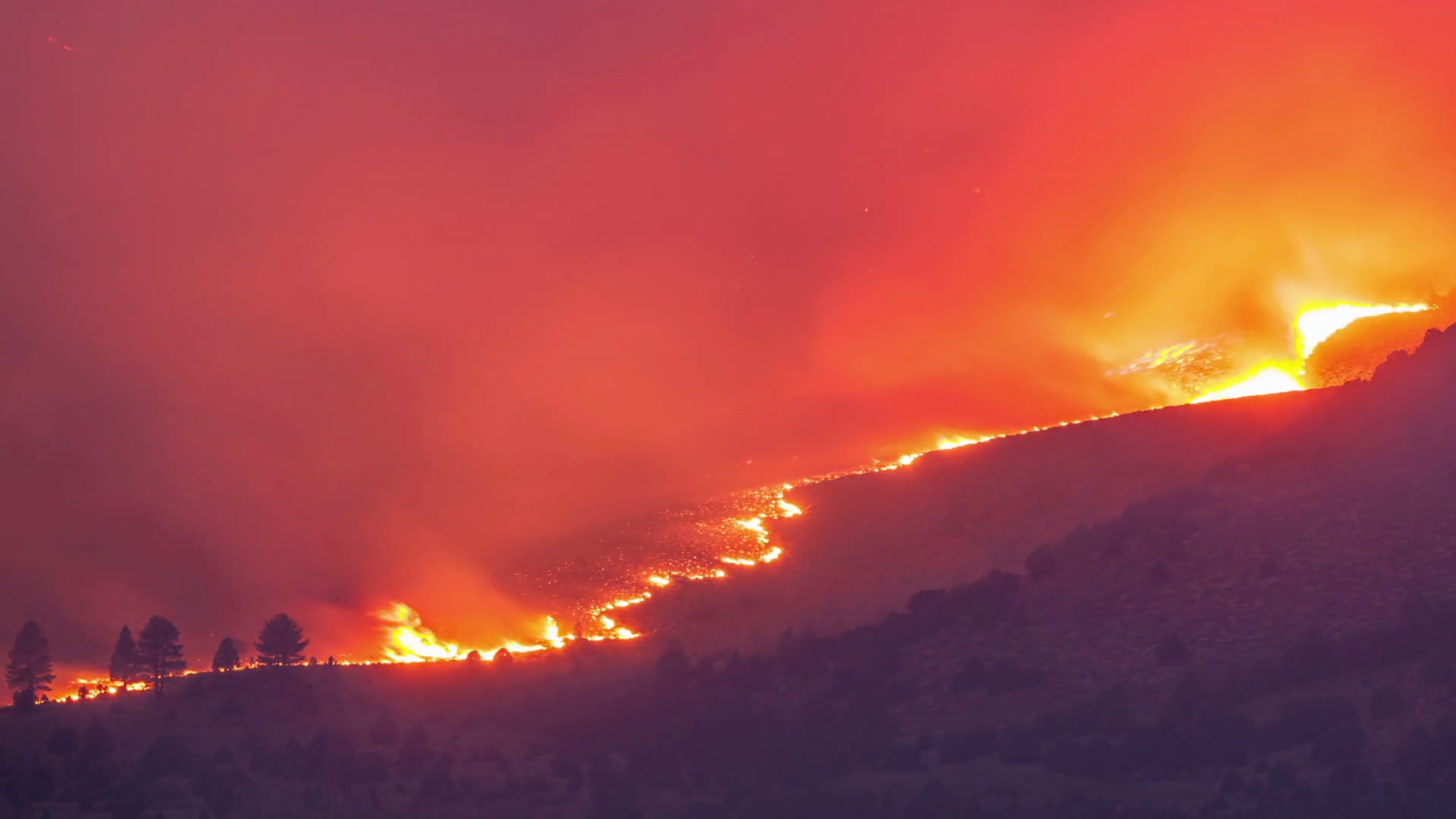Forest Fire Burning Mountainside Stock Footage SBV-308406613 - Storyblocks