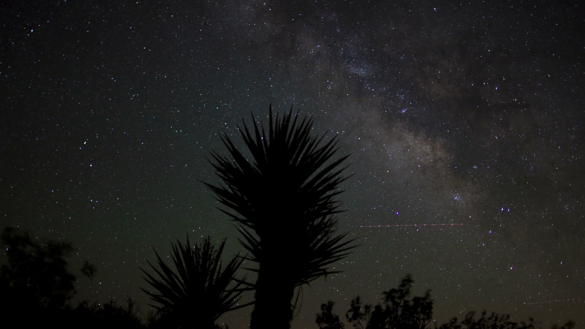 Galaxy Over Joshua Tree Timelapse Stock Video Footage 00:09 SBV ...