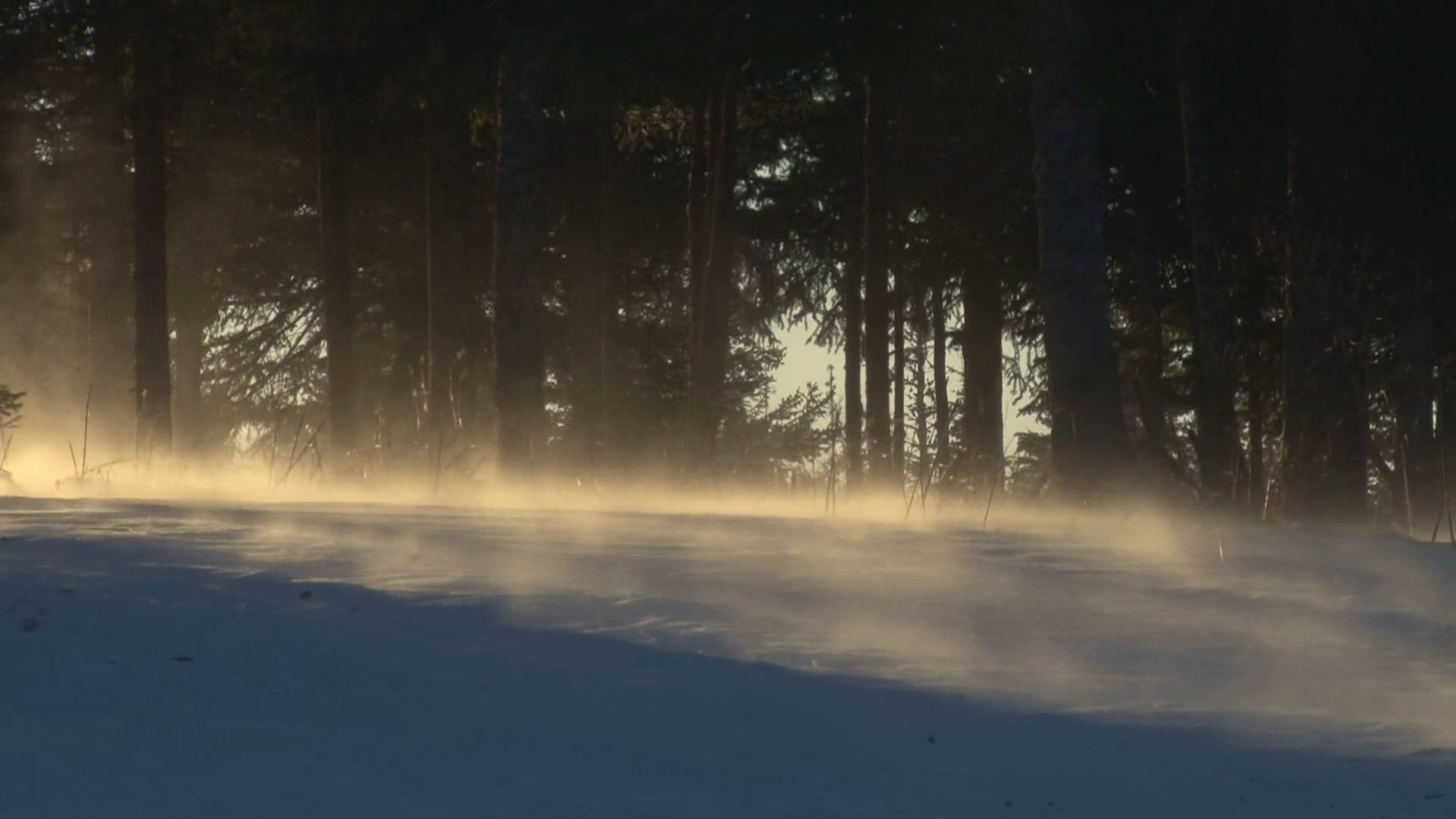 Glowing Snow Wind Blast Stock Footage SBV-300129581 - Storyblocks