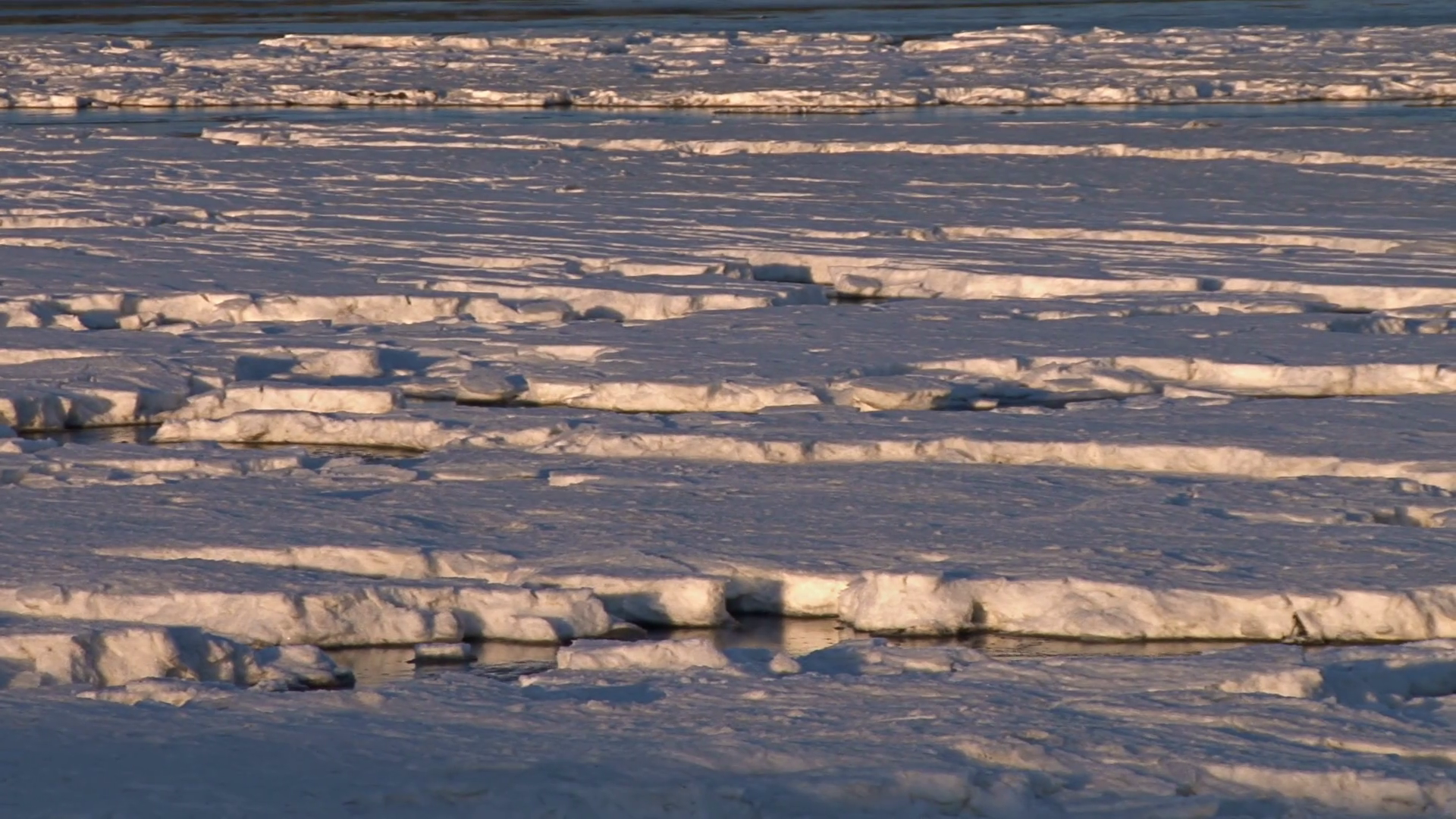 Icy Mud Flats Stock Footage SBV-300129575 - Storyblocks