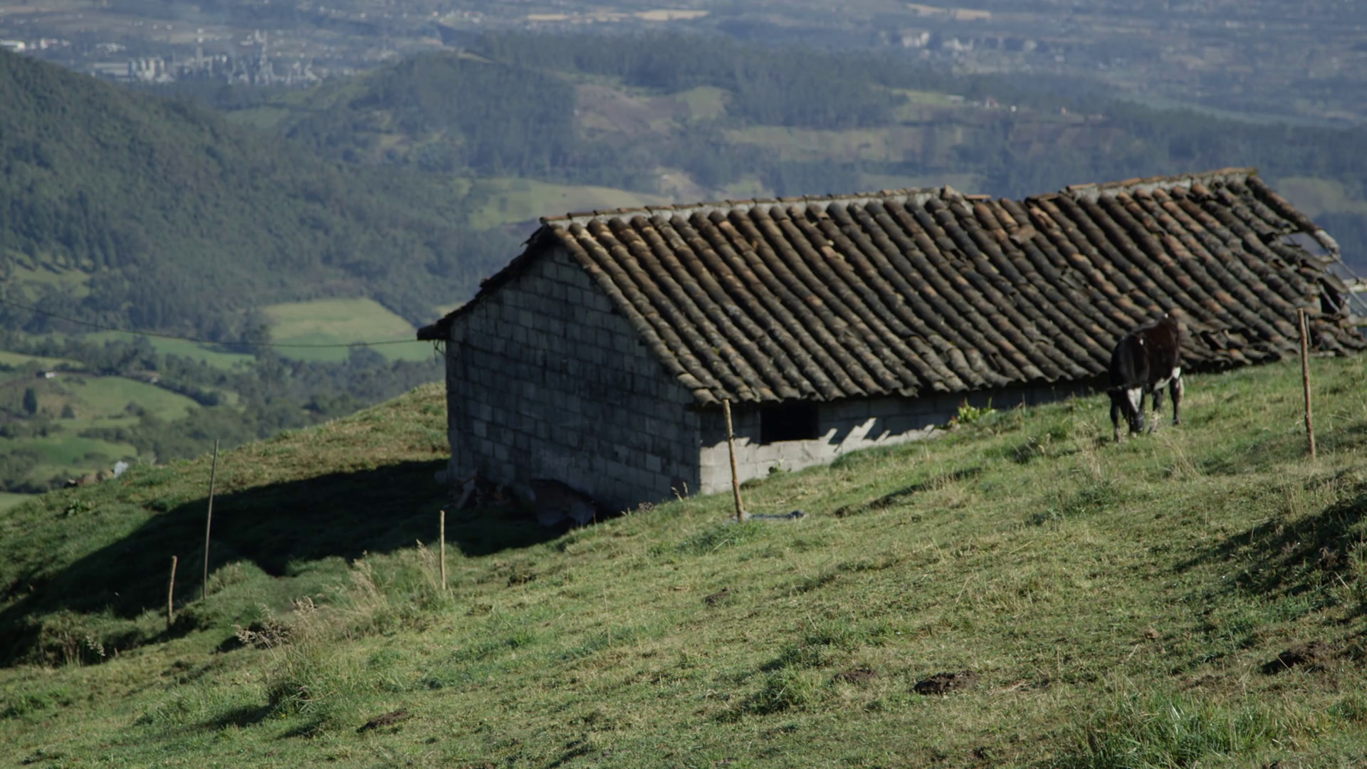 Indigenous Farm In Ecuador With Cow Stock Footage SBV-309567117 ...