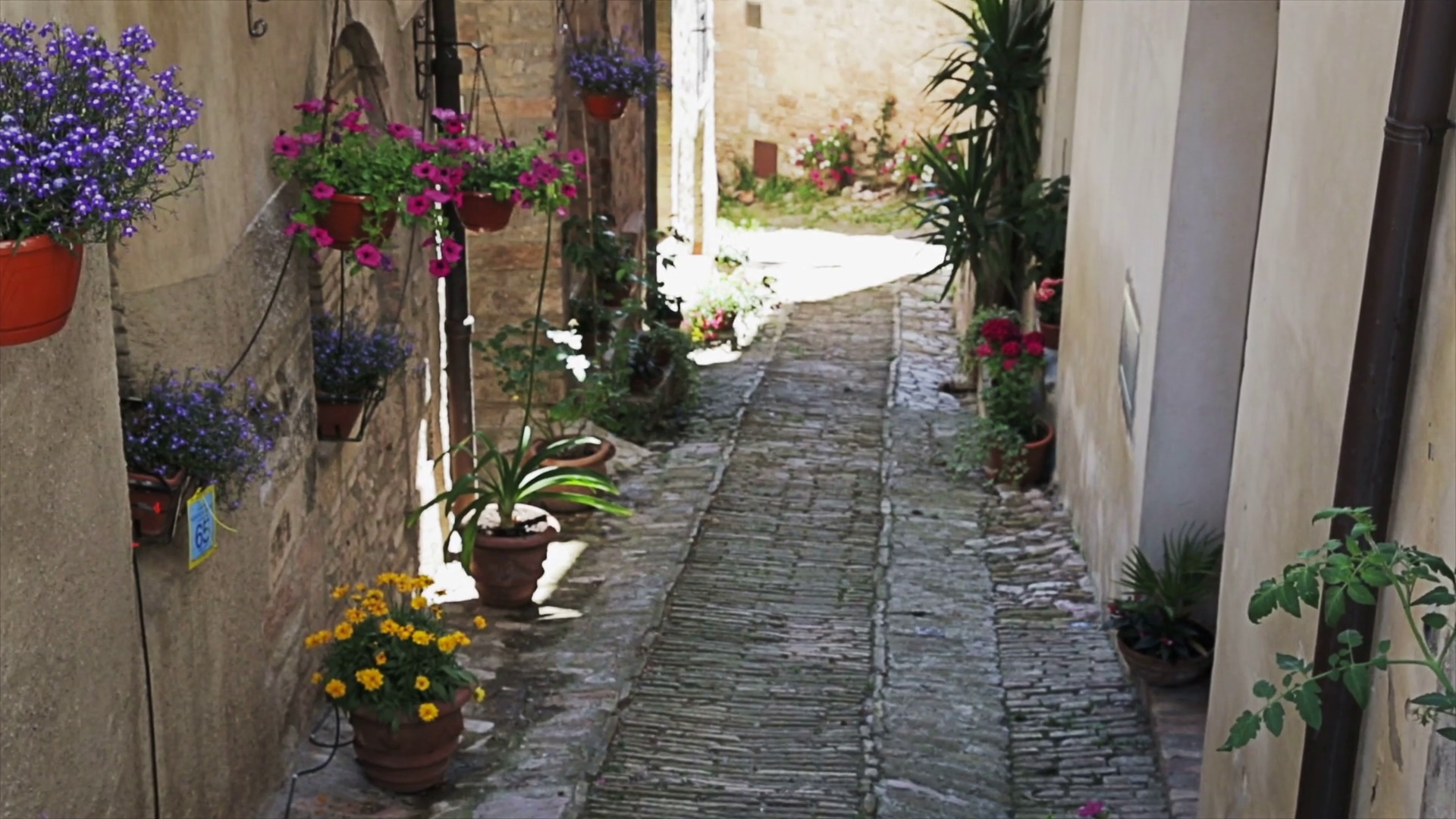 Italian alley with potted plants Stock Video Footage 00:16 SBV ...