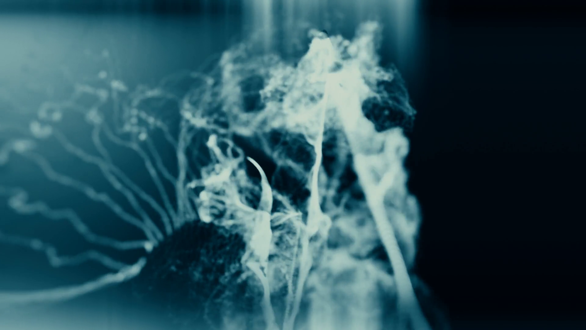 Light Splashes Abstract Background Stock Footage SBV-312843072 ...