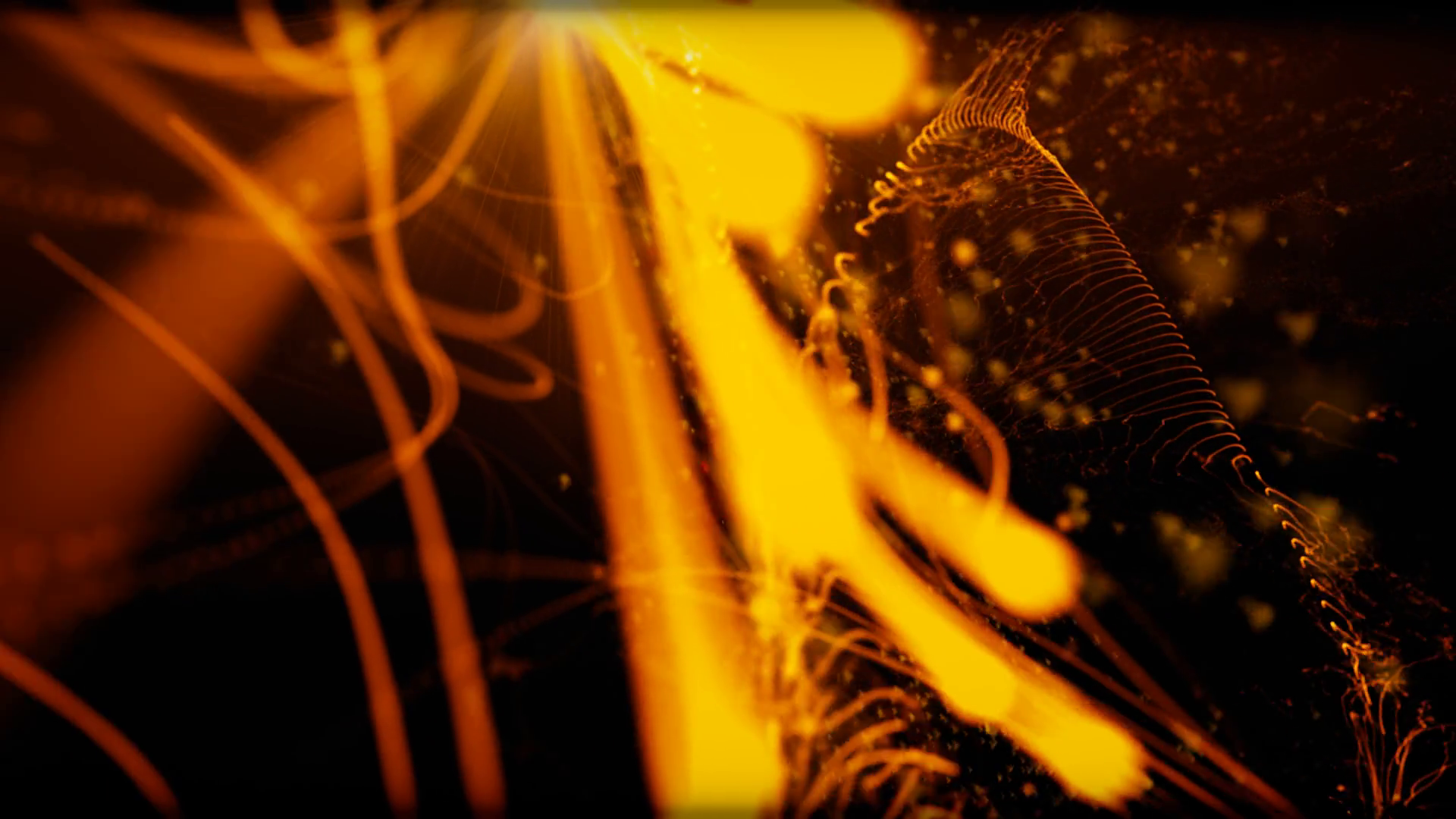 Light Splashes Abstract Background Stock Footage SBV-312819837 ...