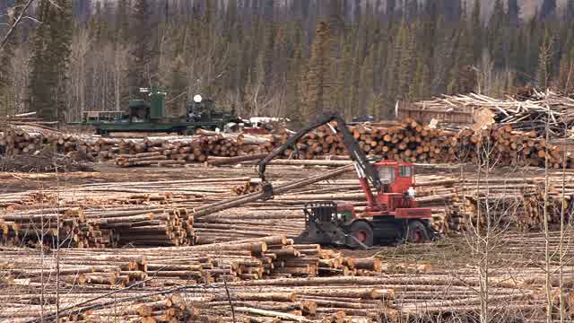 Logging Road Stock Footage: Royalty-Free Video Clips - Storyblocks