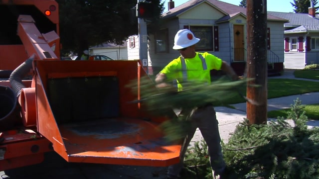 Mulching Trees Stock Footage: Royalty-Free Video Clips - Storyblocks