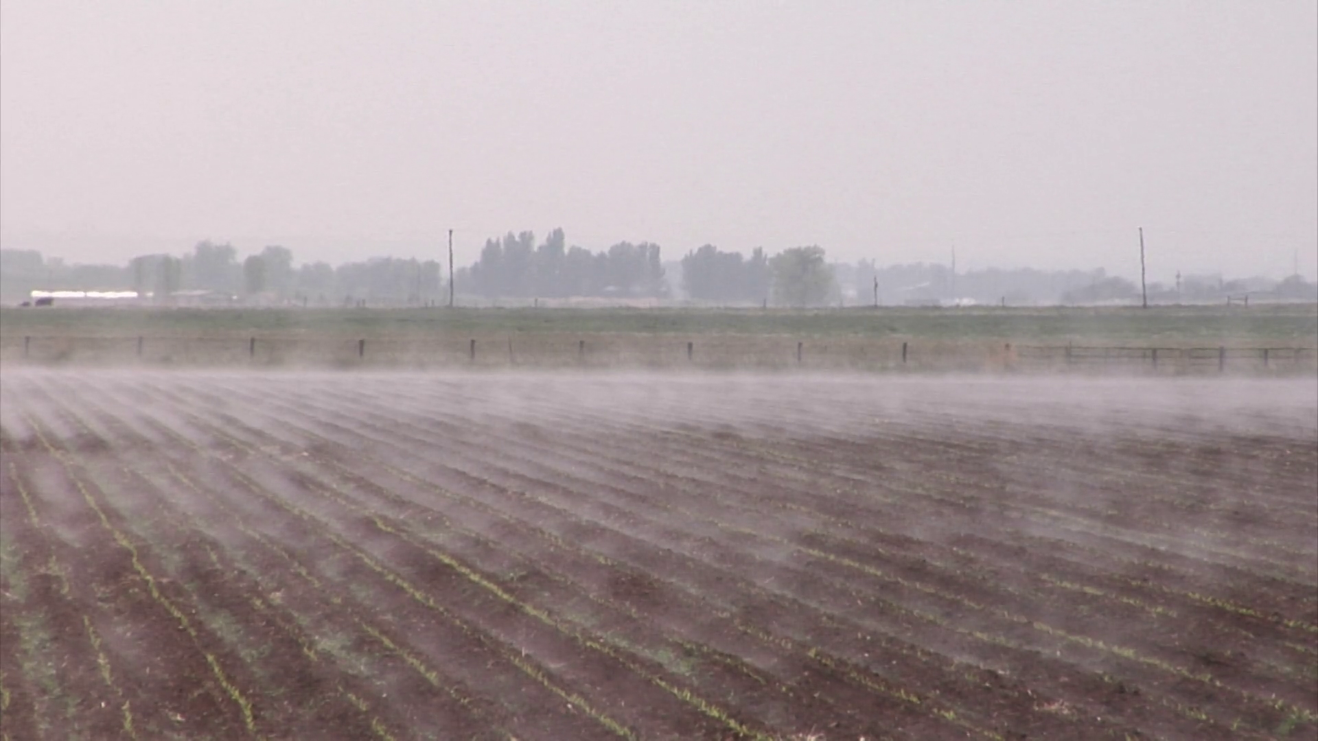 Misty Farm Field Stock Footage SBV-300105984 - Storyblocks
