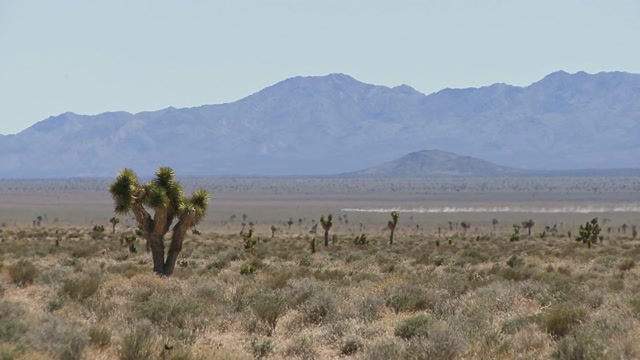 Arizona Desert Landscape Stock Footage: Royalty-Free Video Clips ...