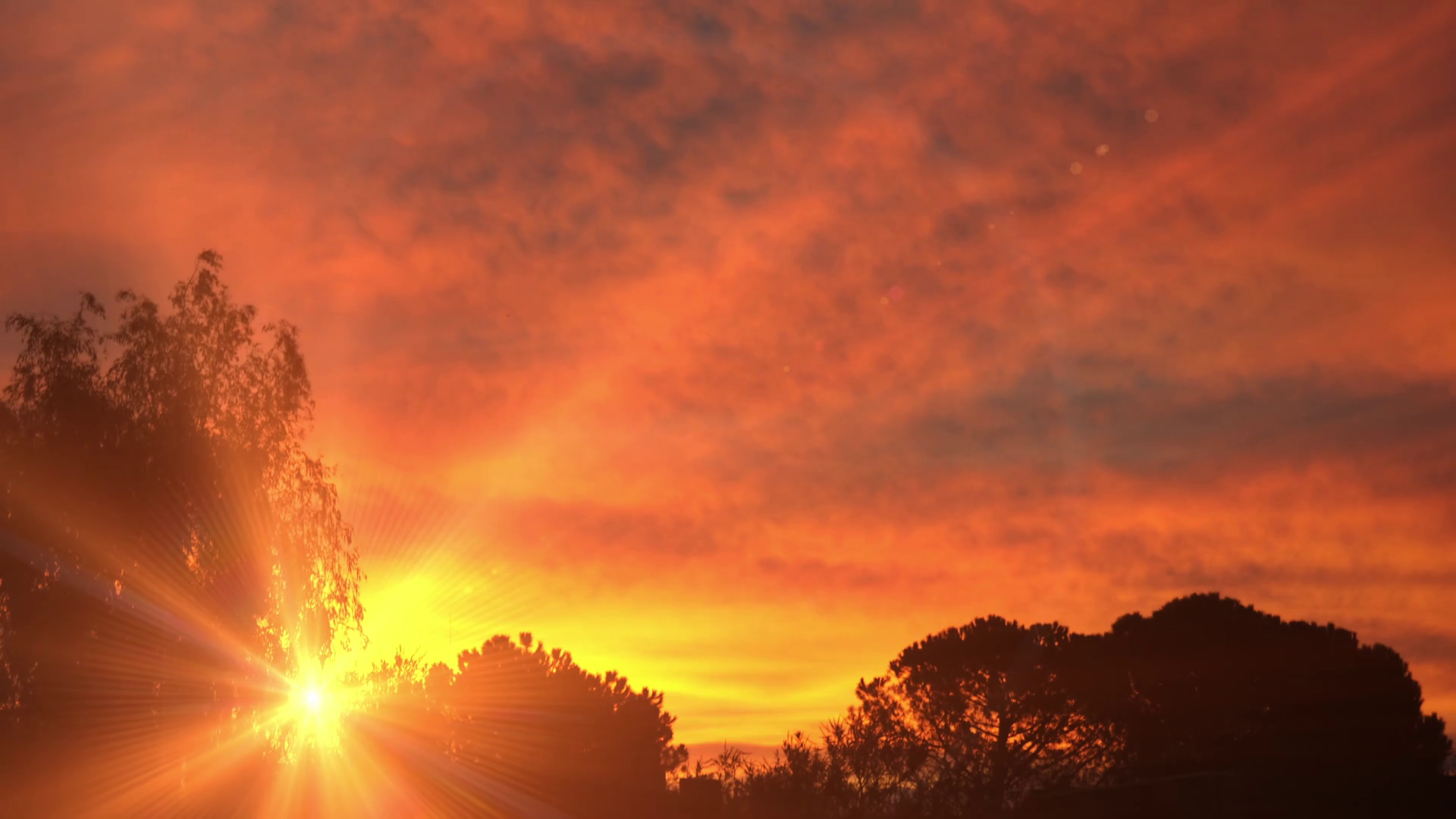 Orange Morning Cloud Rays Stock Motion Graphics SBV-300093776 - Storyblocks