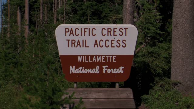 Forest Trail Sign Stock Footage: Royalty-Free Video Clips - Storyblocks