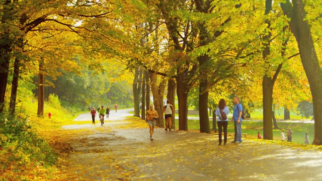 Download Royalty Free Park Video - Park Stock Footage