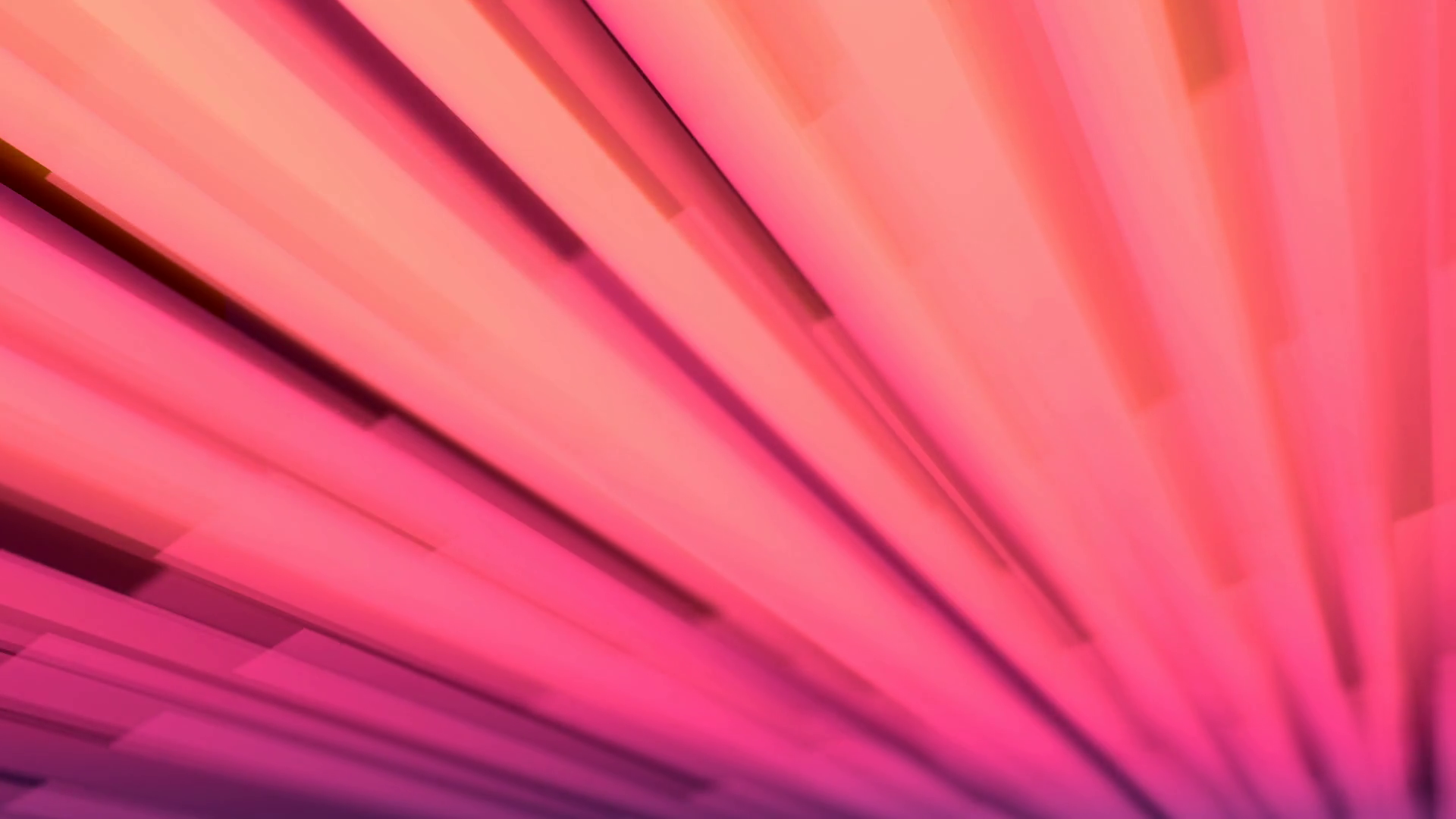 Pink Light Beams Stock Motion Graphics SBV-300208854 - Storyblocks