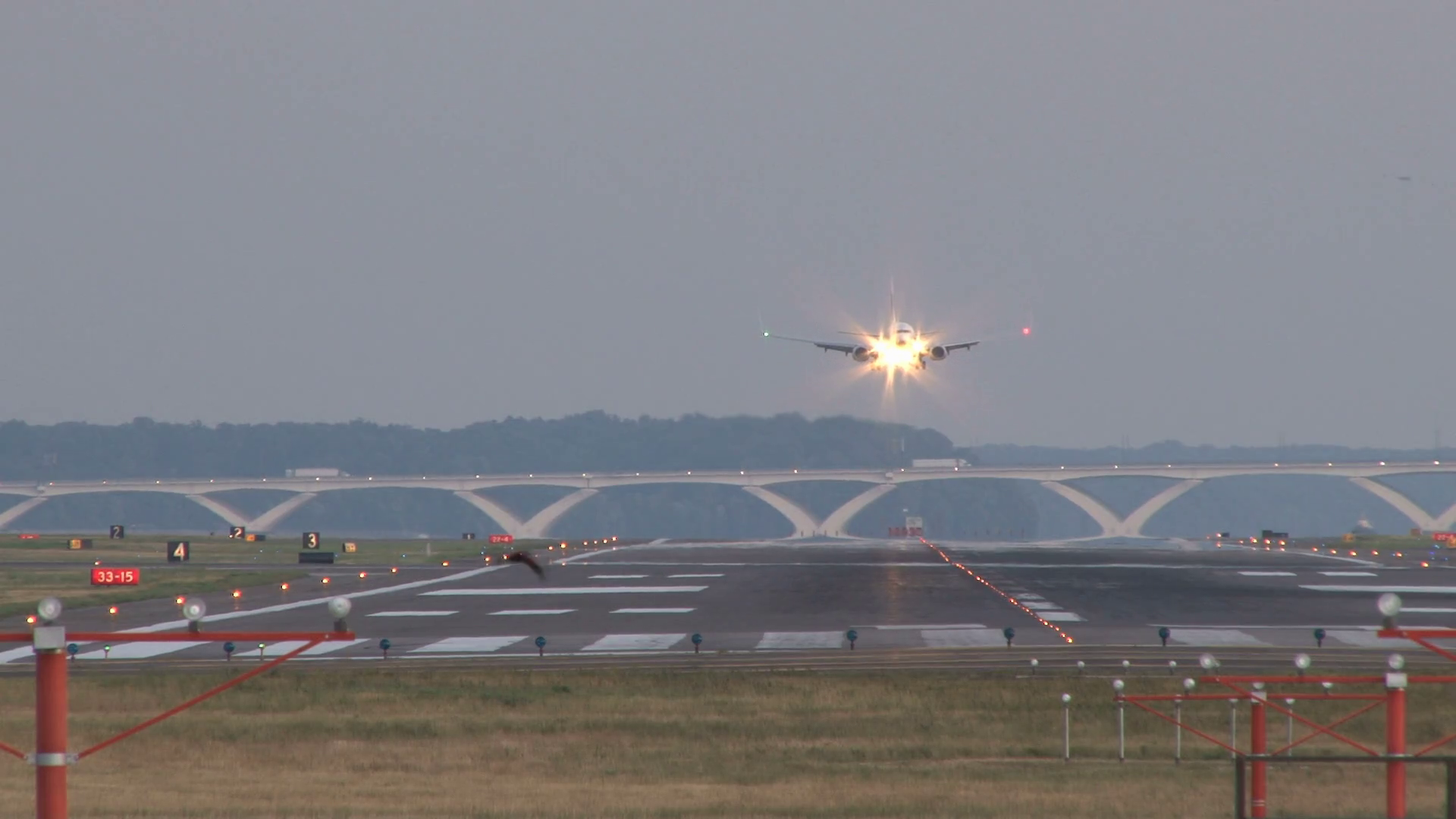 Plane Landing On Runway With Bird Flying Stock Footage SBV-300017390 ...