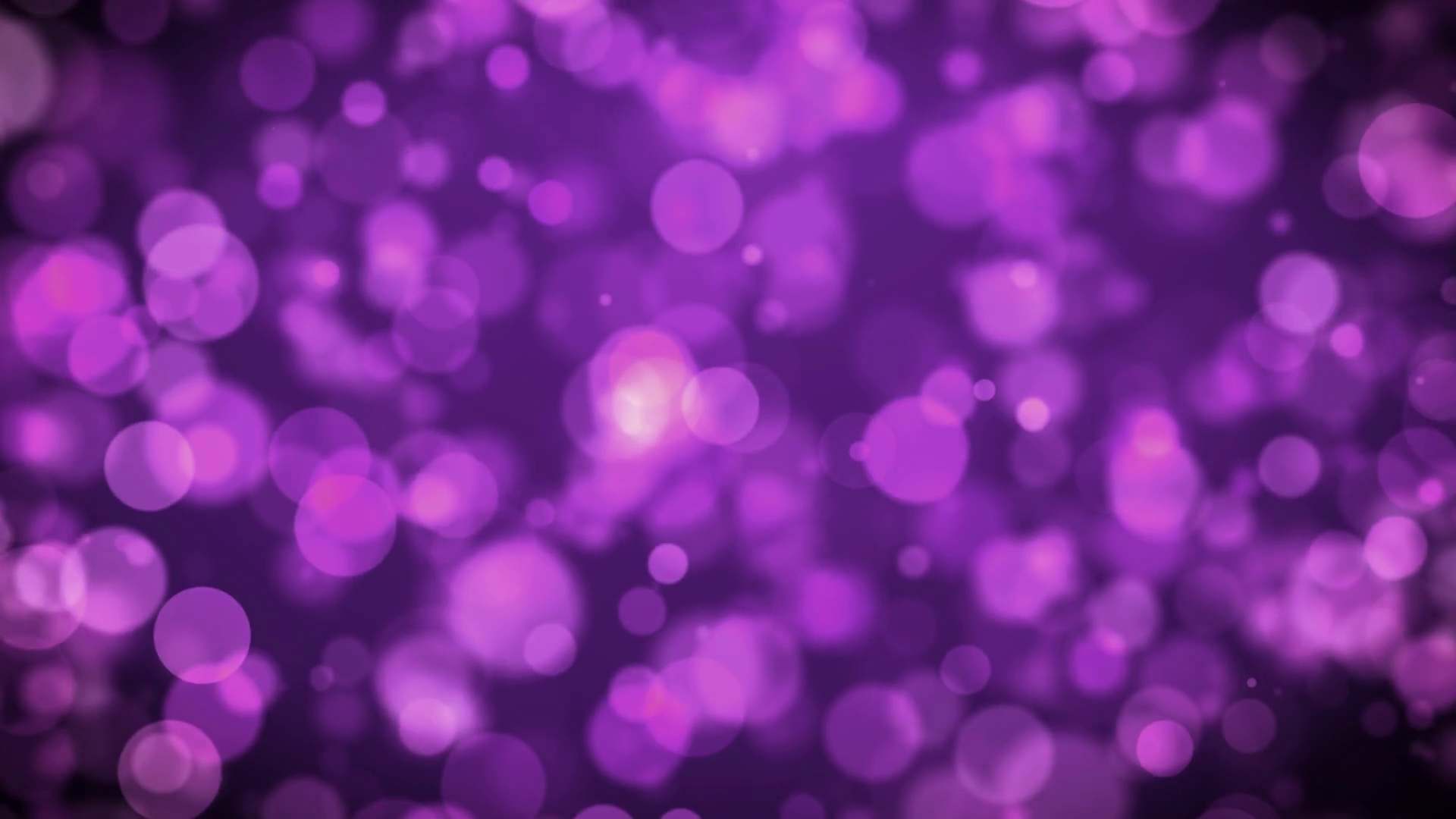 Purple Particle Background Motion Background - Storyblocks