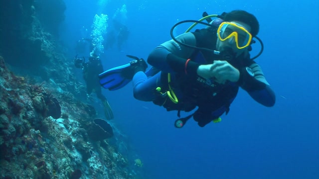 Diving Stock Footage: Royalty-Free Video Clips - Storyblocks