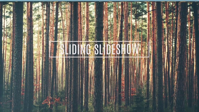 Intro Templates Royalty-Free - Page 4 - Storyblocks