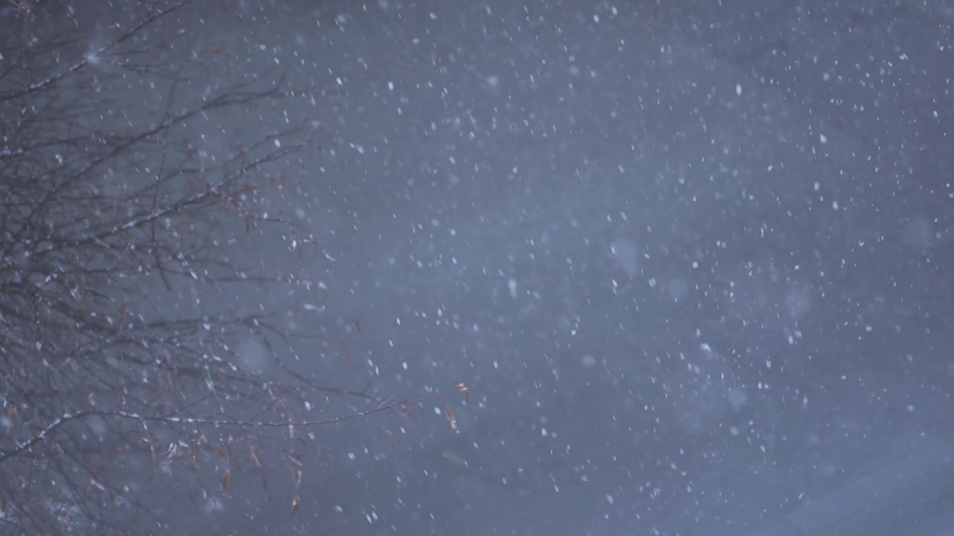 Slow Motion Of Snow Fall Winter Stock Footage SBV-306546113 - Storyblocks