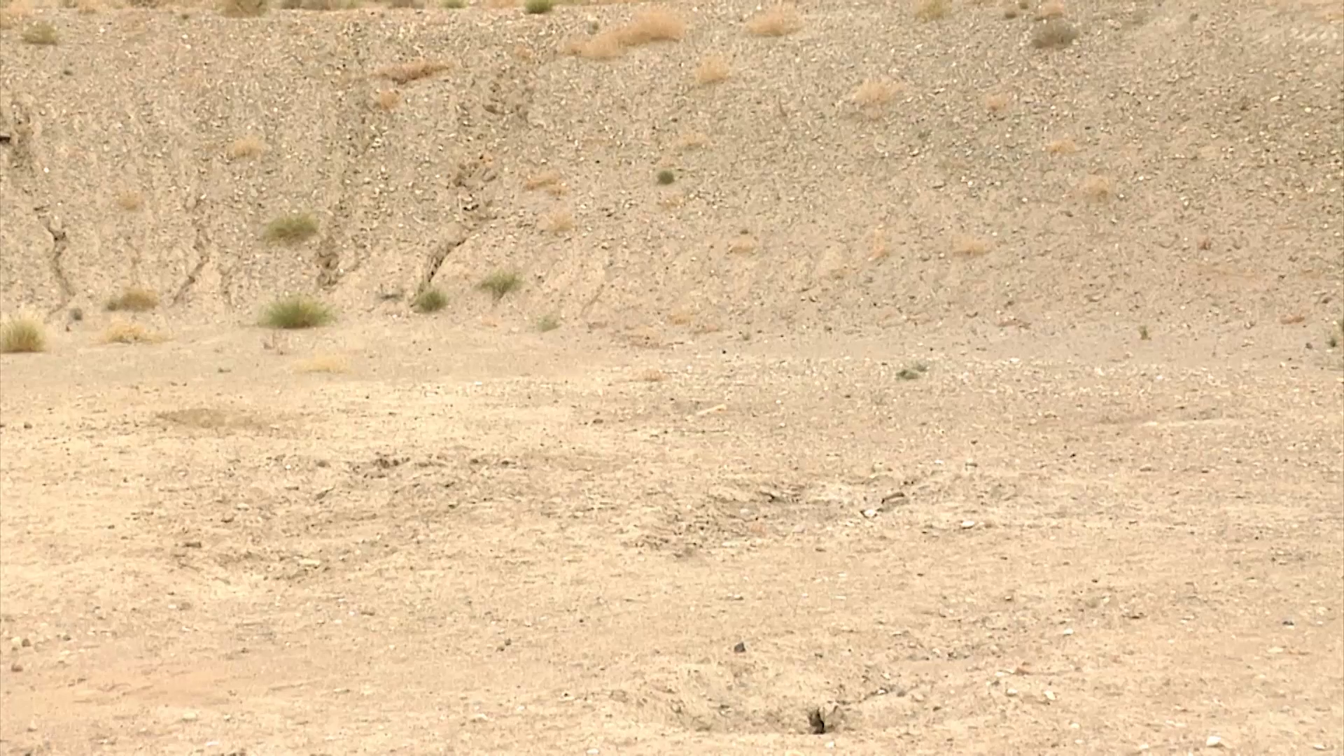 Explosion In Desert Stock Footage SBV-301890205 - Storyblocks