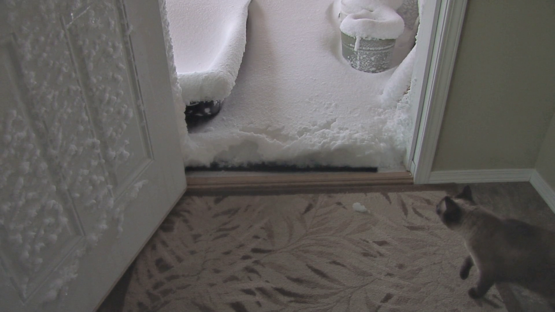 Snow Covered Front Door Stock Footage SBV-300129580 - Storyblocks