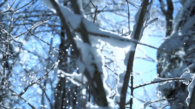 Snow Falling Stock Footage: Royalty-Free Video Clips - Storyblocks