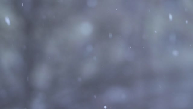Snow Flakes Stock Footage: Royalty-Free Video Clips - Storyblocks