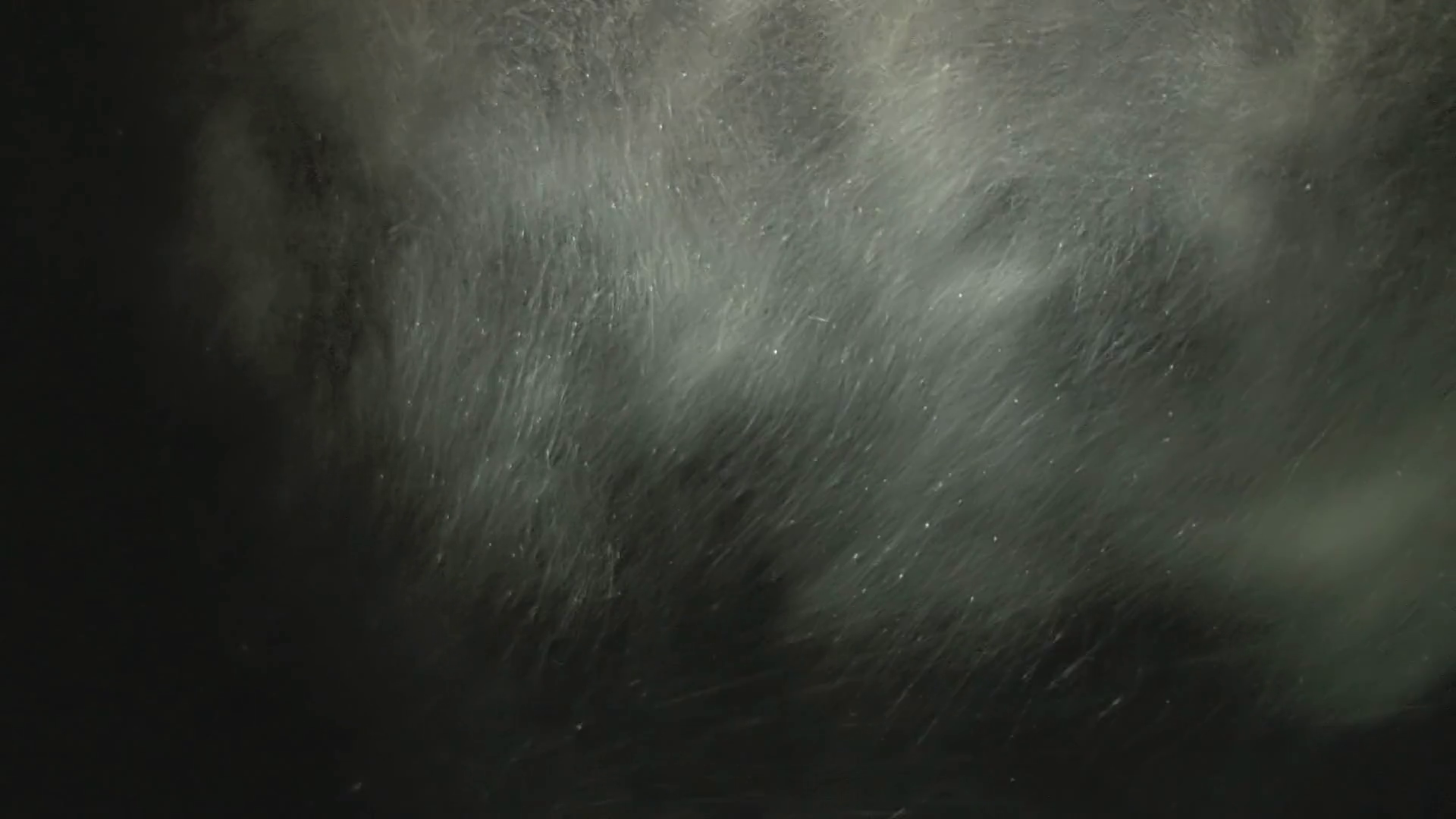 Snow Flurry At Night Stock Footage SBV-300129530 - Storyblocks