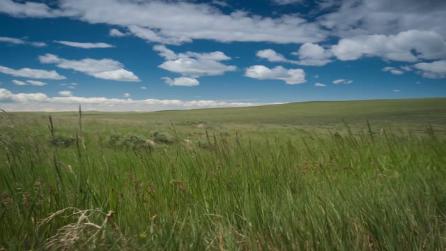 Plains Stock Footage: Royalty-Free Video Clips - Storyblocks