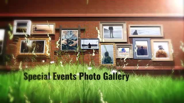 Royalty-Free Templates - Storyblocks