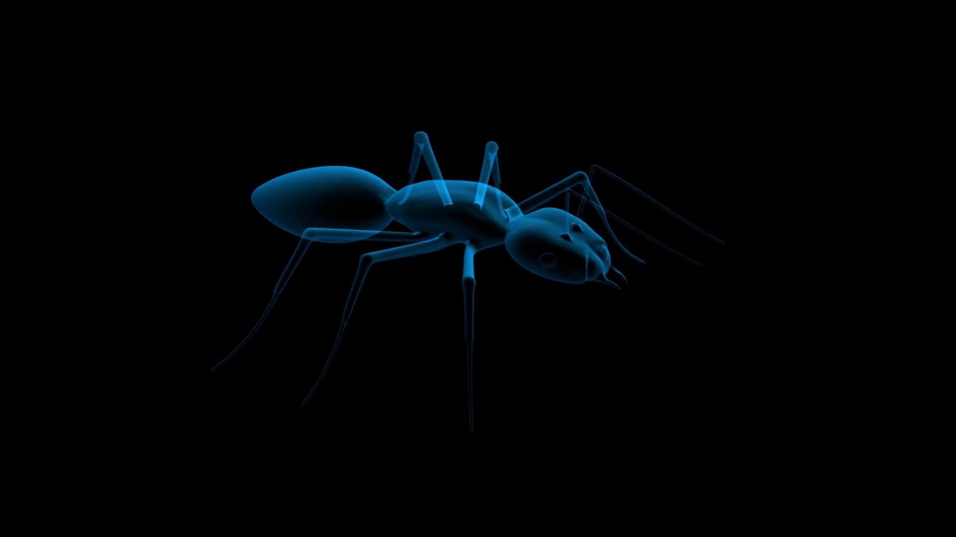 Spinning Blue Ant Motion Background 00:10 SBV-300019532 - Storyblocks