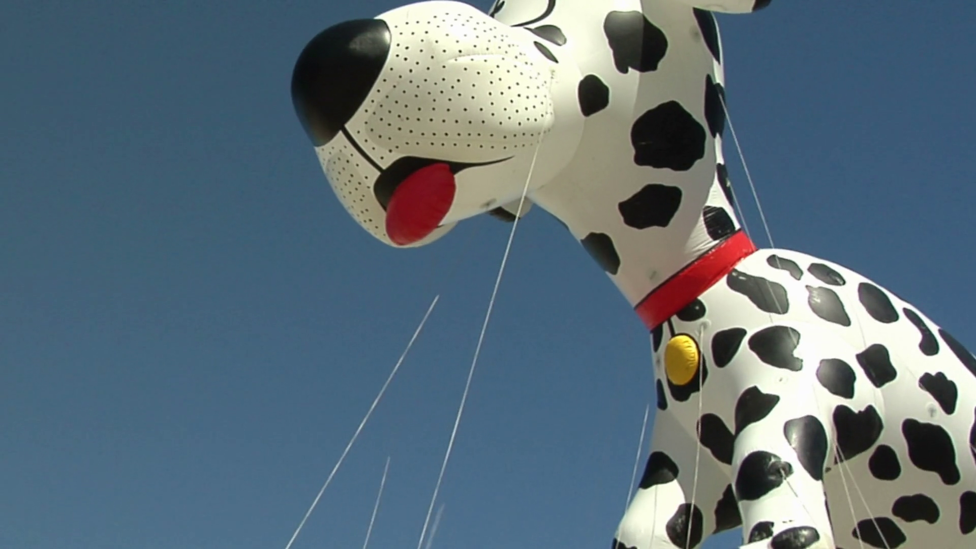Spotted dog parade float Stock Video Footage 00:16 SBV-300095792 ...