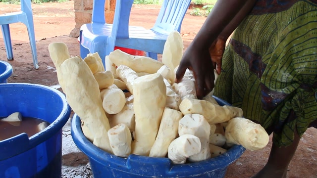 Traditional African Food Stock Footage: Royalty-Free Video Clips ...