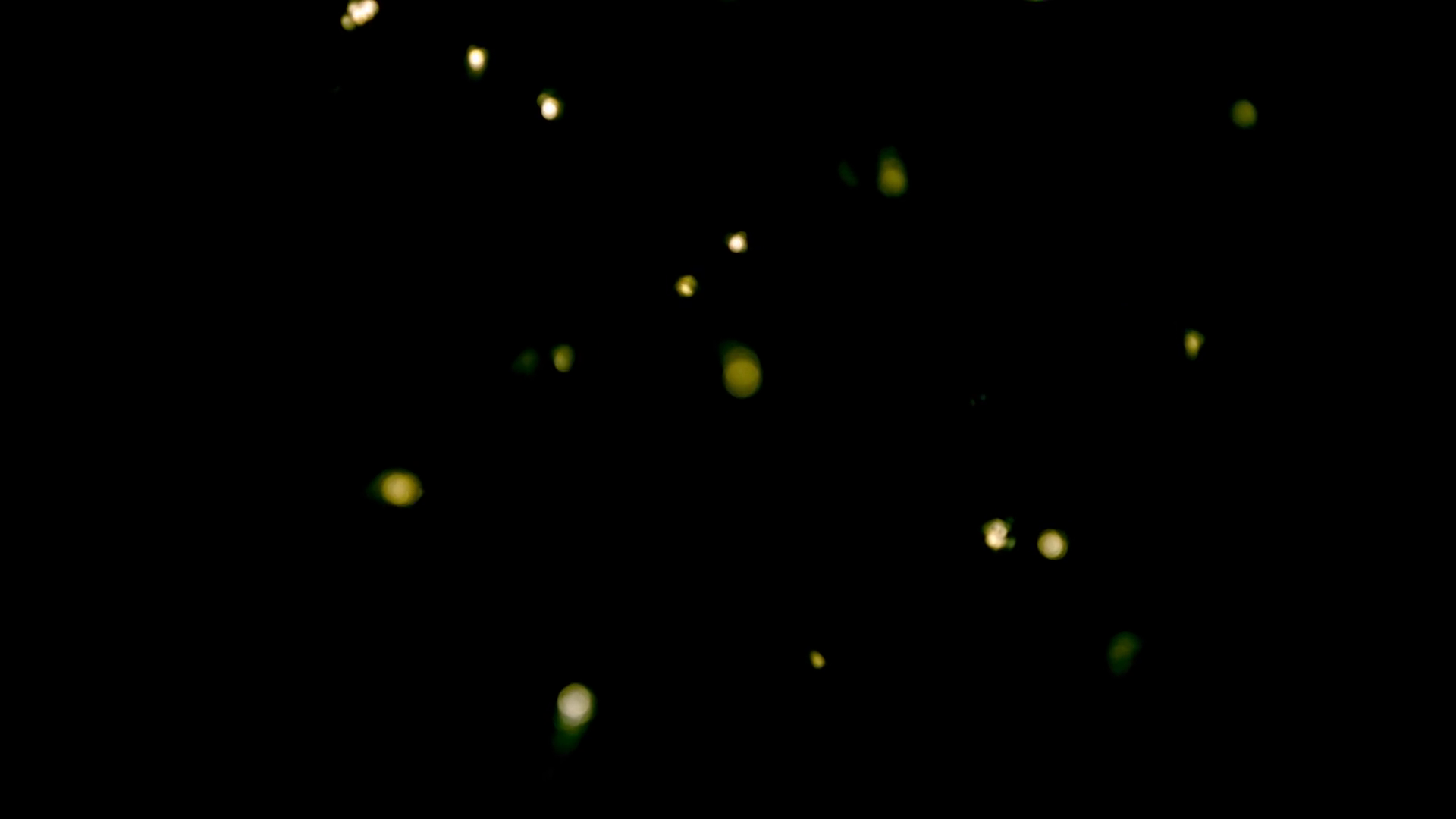 Swirling White Lights Alpha Channel Stock Motion Graphics SBV-300142698 ...